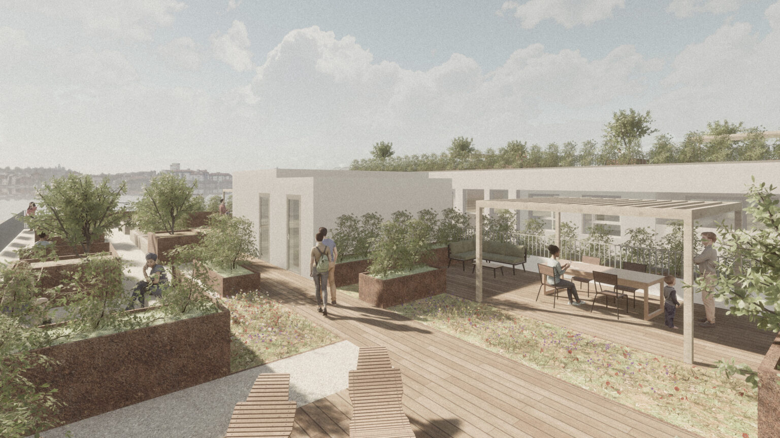 Wohnanlage mit Dachgarten - Tobias G. Väth Architekten